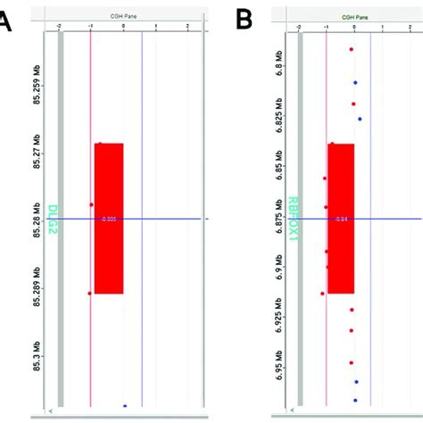 Acgh Analysis Results Identified In The Female Partner Of The Analyzed