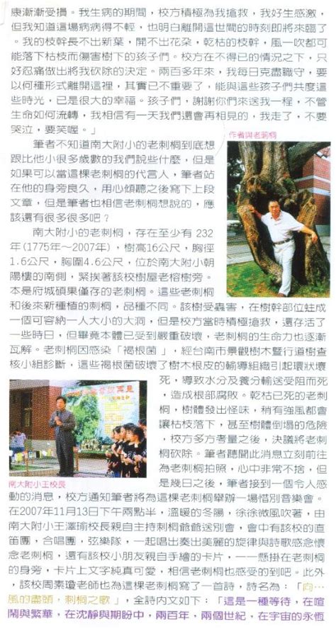 再見老樹 老樹再見