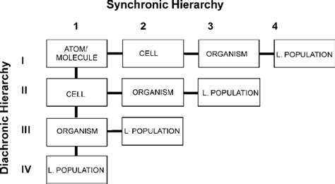 Two Dimensional Matrix Of Organizational Hierarchy The Vertical Axis