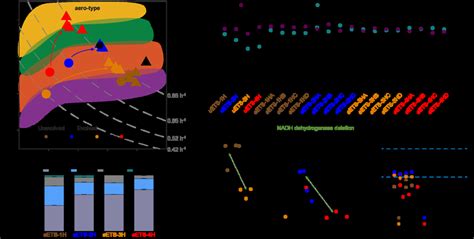 Systems Level Examination Of Ets Variants A Aero Type Classification
