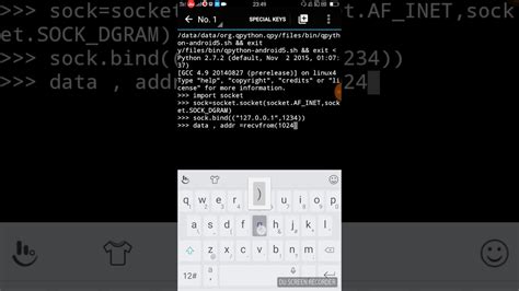 Python Sockets Example Udp At Jennifer Buffum Blog