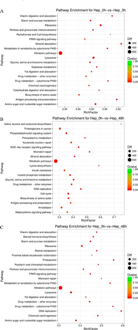 Figure 3 From Comparative Transcriptome Analysis Of The Hepatopancreas