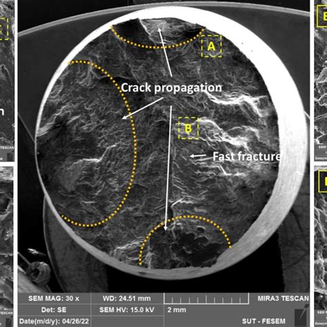 The Fracture Surface Under Fretting Fatigue Conditions The Stress Download Scientific Diagram