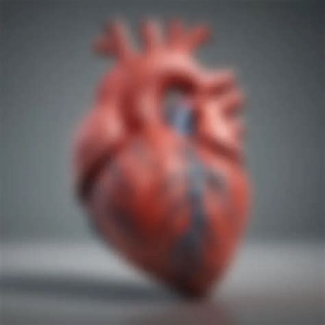 Understanding Echocardiograms A Detailed Interpretation Guide