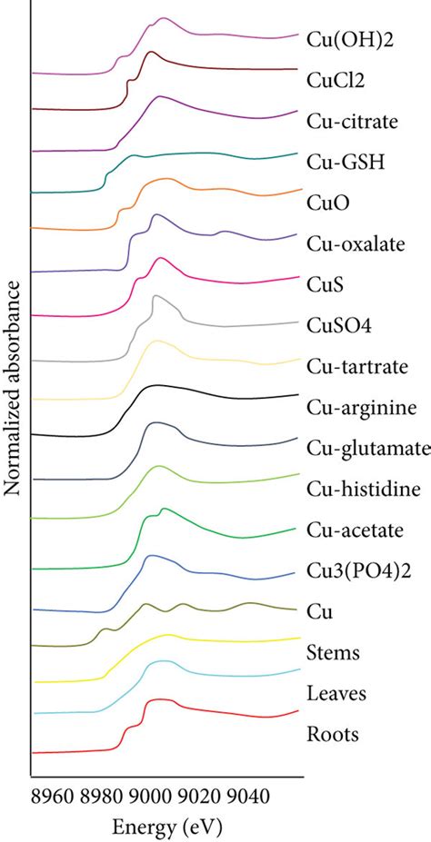 Cu Xanes Spectra Of Different Tissues And Standard Samples Of Willow