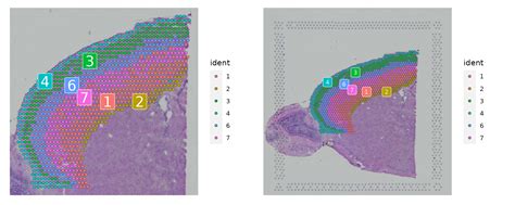 Analysis Visualization And Integration Of Spatial Datasets With