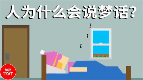 人为什么会说梦话呢长期说梦话会影响睡眠质量吗知识TNT YouTube