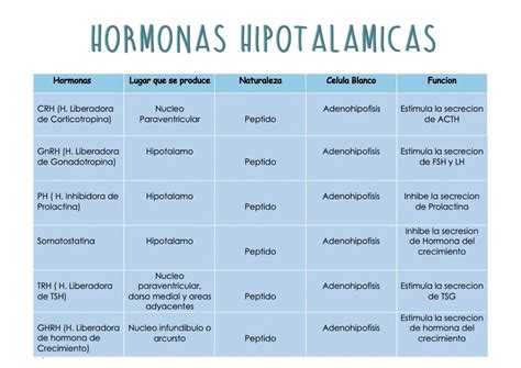 Cuadro Sistema Endocrino Artofit