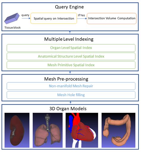 Framework Of 3d Tissue Block Registration Download Scientific Diagram