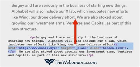 What Is Hidden Text Loganix