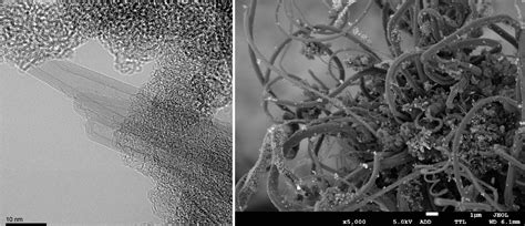 Scanning Electron Microscope Vs Transmission Electron Microscope Car Transmission Guide