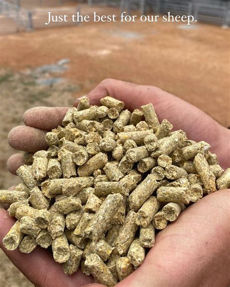 Broomehill Stockfeeds Fresh Premium Pellets