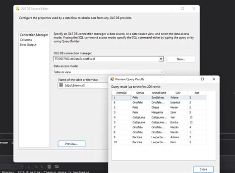 Data Transfer From Sql Server To Excel