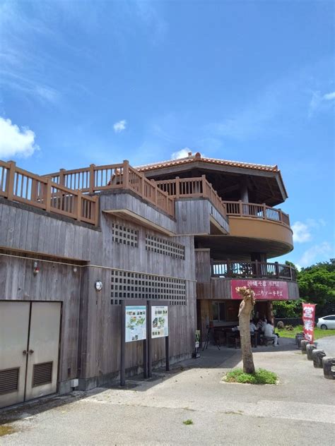 暑さに負けずに浦添大公園 南の島のカウンセリングサロン「月歩」のブログ