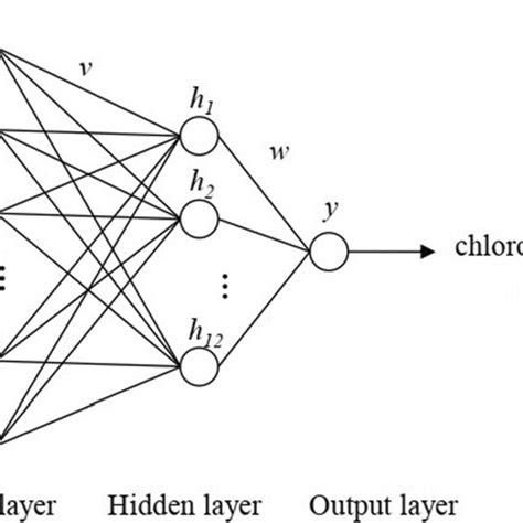 The Ann Structure For Calculating Wheat Quality Parameters Download Scientific Diagram