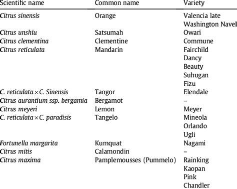 Scientific Names Of Fruits
