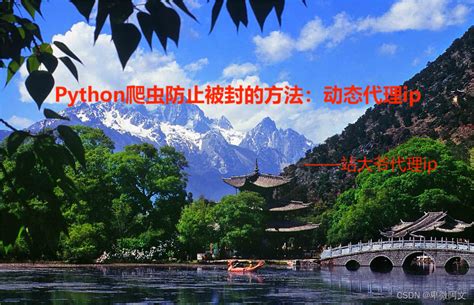 Python爬虫防止被封的方法动态代理ip