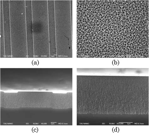 Sem Pictures Of The Binary Psi Diffraction Grating With The Groove Download Scientific Diagram