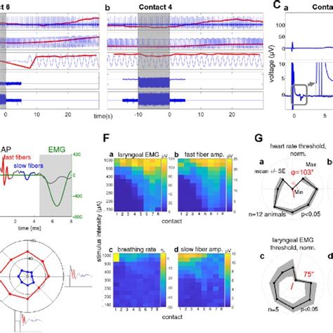 Spatially Selective Vagus Nerve Stimulation Differentially Activates Download Scientific