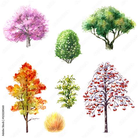 Trees And Shrubs During Different Seasons Stock Illustration Adobe Stock