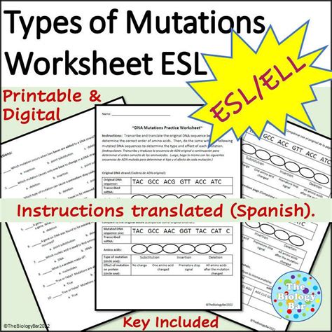 Solved Lett Dna Mutations Practice Worksheet Directions Worksheets Library