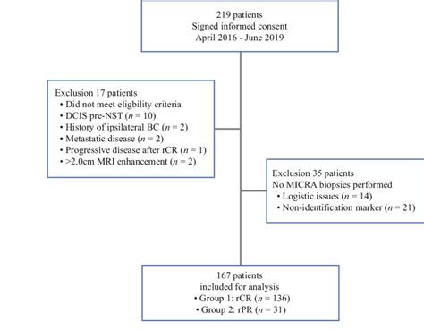 Flowchart Patient Inclusion At Interim Analysis Rcr Radiological