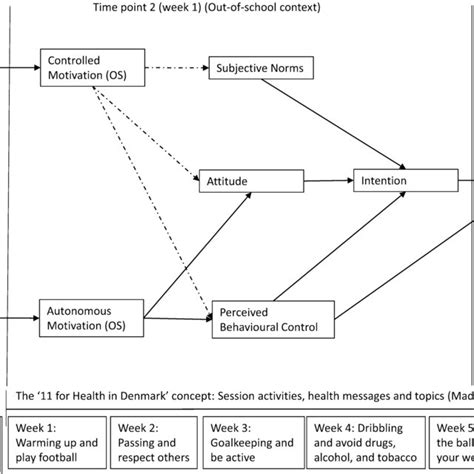 Hypothesis And Direct Effects Of The Original Trans‐contextual Model