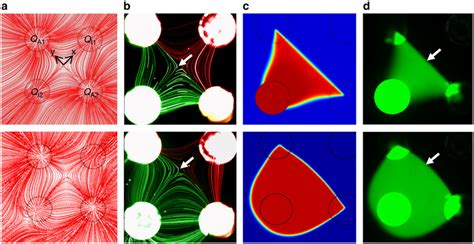 Hydrodynamic Positioning Of The Sp The Sp And The Gradient Floating Download Scientific Diagram