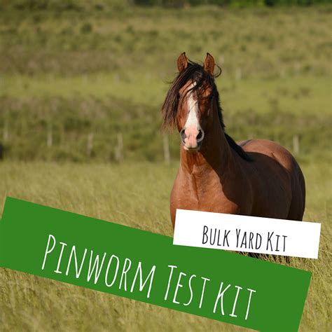 Bulk Yard Pinworm Test Kit For 10 Horses Poopost