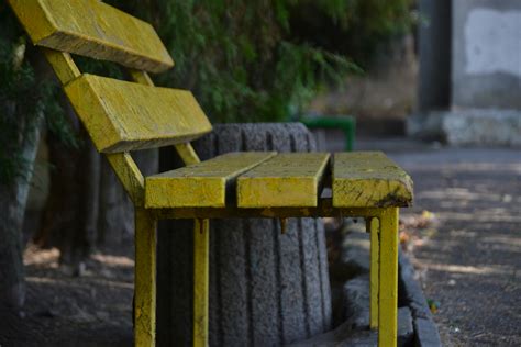 Oliviadunnebarefeet Photos Download The Best Free Oliviadunnebare