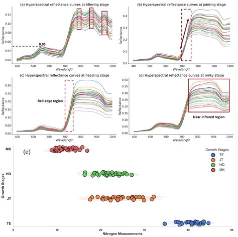 Estimating Rice Leaf Nitrogen Content And Field Distribution Using Machine Learning With Diverse