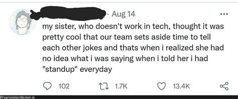 Standups ProgrammerHumor Io