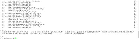【银河麒麟服务器系统】麒麟系统安装mariadb root远程登录 银河麒麟操作系统最佳实践 csdn专栏