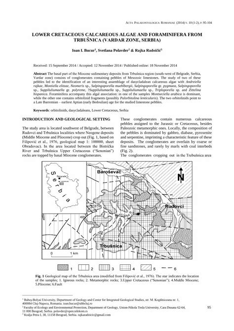 Pdf Lower Cretaceous Calcareous Algae And Foraminifera From Trbušnica Dokumen Tips