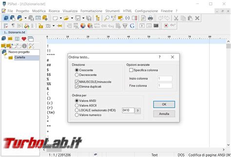 Come Eliminare Le Righe Duplicate Da Un File Di Testo TXT TurboLab It