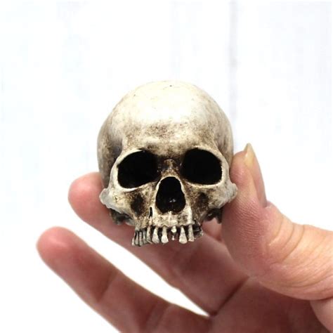 Anatomically Correct Human Skull Handmade Scaled Down Scan Of Human Skull Full Or Jawless Gothic