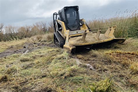 Gorse Weed Management Control And Removal Central Land Clearing