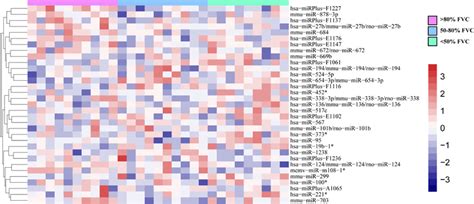 Heatmap Of Differentially Expressed Mirnas Differentially Expressed