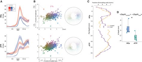 Conjoint Specification Of Action By Neocortex And Striatum Neuron
