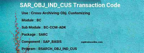 SAR OBJ IND CUS SAP Tcode For Cross Archiving Obj Customizing