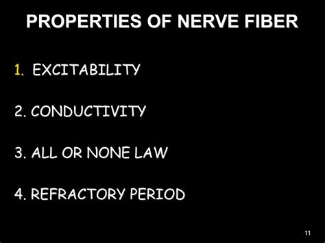 Nerve Physiology Classification And Properties Of Nerve Fibers Ppt