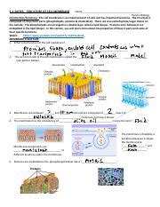 Structure Of The Cell Membrane Notes Pdf 1 3 NOTES STRUCTURE OF CELL MEMBRANE Name Honors