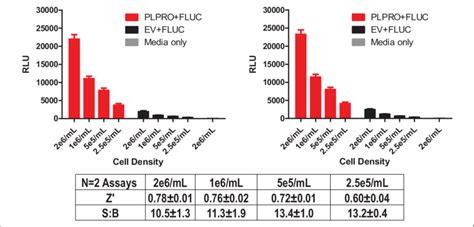 Optimization Of Cell Seeding Density In This 1536 Well Format A Range Download Scientific