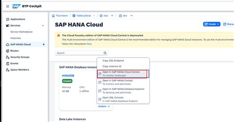 How To Create A Sap Hana Database Instance In Sap Btp By İlker Tekin Medium