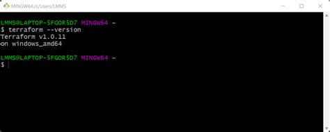 How To Install Terraform In Windows 11 Radish Logic