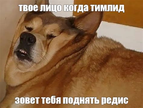 Мем твое лицо когда тимлид зовет тебя поднять редис Все шаблоны Meme