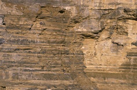 Turning A Mudstone Into A Shale The Burgess Shale