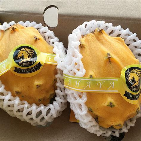 麒麟果燕窝果黄色火龙果当季新鲜水果黄龙果2斤5 7个装包邮虎窝淘