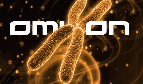 Ashi Regional Symposium Holotype Hla A Technical Introduction To Ngs Assay Software And