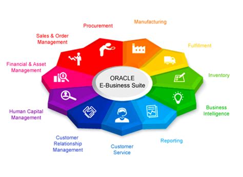 Oracle E Business Suite Seertree Global Services